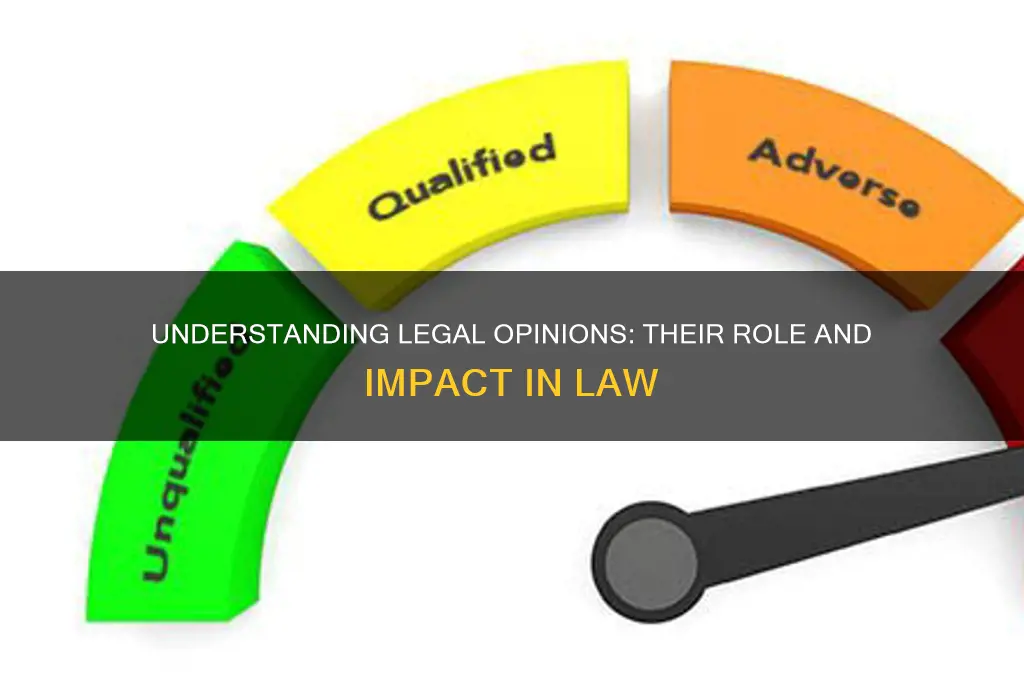 Understanding Legal Opinions: Their Role And Impact In Law | LawShun