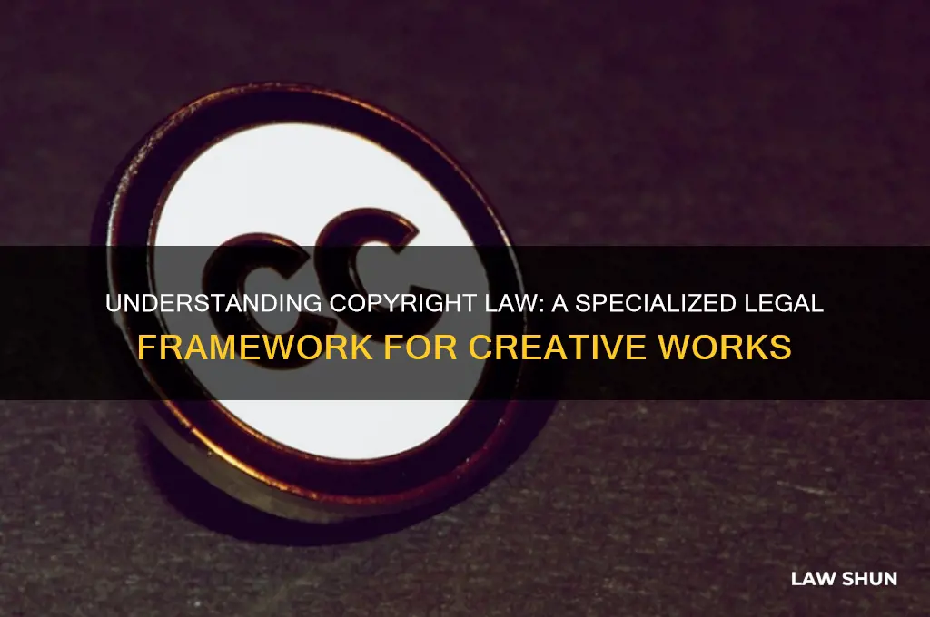 Understanding Copyright Law: A Specialized Legal Framework For Creative ...