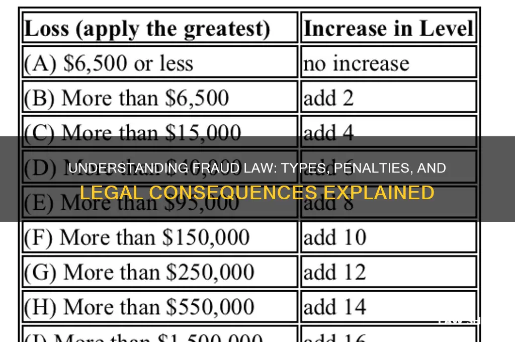 Understanding Fraud Law: Types, Penalties, And Legal Consequences ...