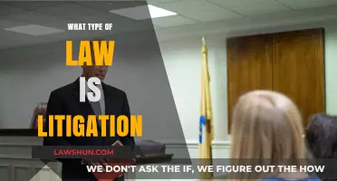 Understanding Russia's Legal System: A Comprehensive Overview Of Its ...