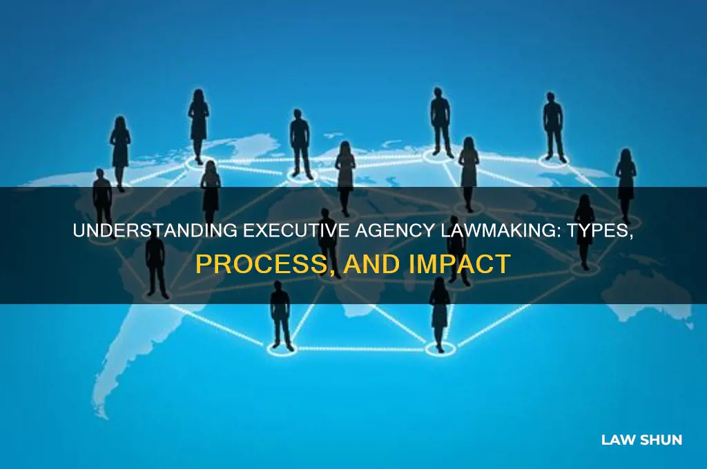 Understanding Executive Agency Lawmaking: Types, Process, And Impact ...