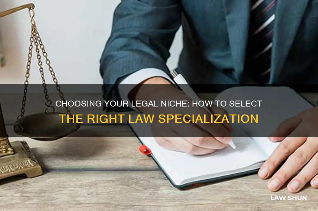 Choosing Your Legal Niche: How To Select The Right Law Specialization ...