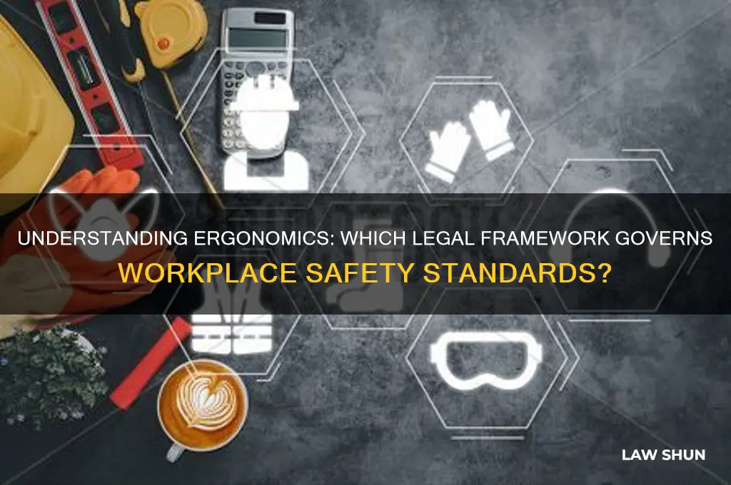 Understanding Ergonomics: Which Legal Framework Governs Workplace ...