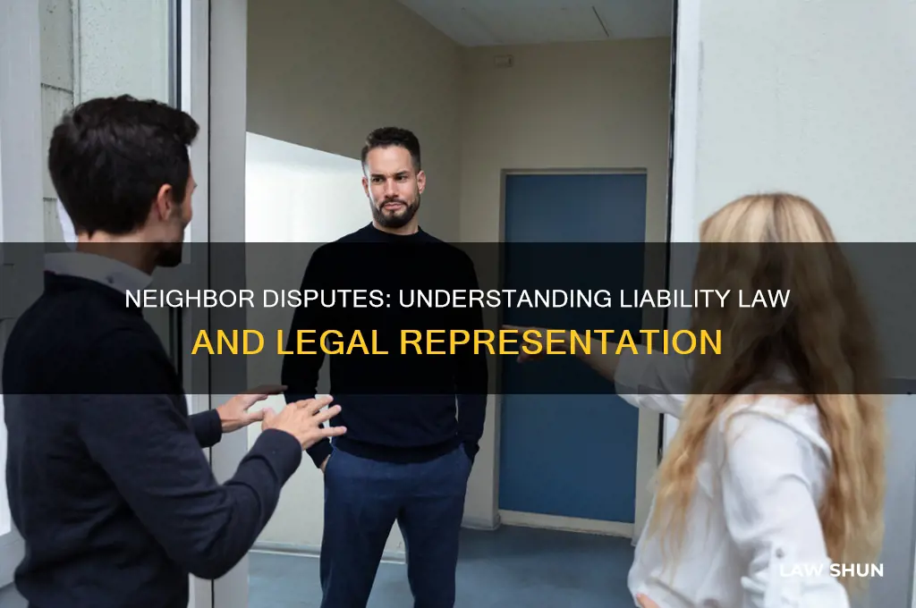 Neighbor Disputes: Understanding Liability Law And Legal Representation ...