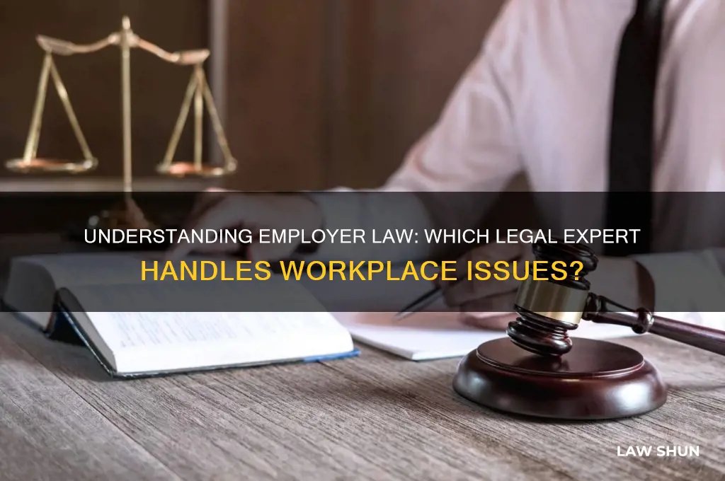 Understanding Employer Law: Which Legal Expert Handles Workplace Issues ...