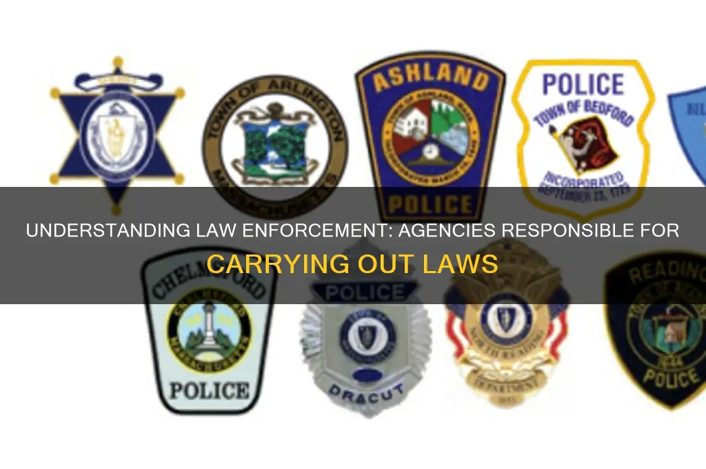 Understanding Law Enforcement: Agencies Responsible For Carrying Out ...