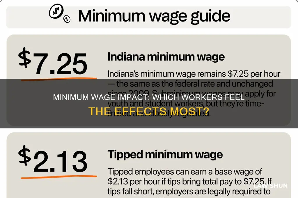 Minimum Wage Impact: Which Workers Feel The Effects Most? | LawShun