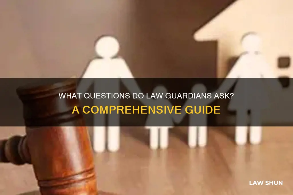 What Questions Do Law Guardians Ask? A Comprehensive Guide | LawShun