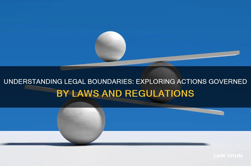Understanding Legal Boundaries: Exploring Actions Governed By Laws And ...