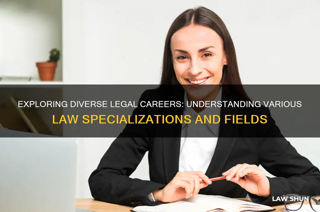 Exploring Diverse Legal Careers: Understanding Various Law ...