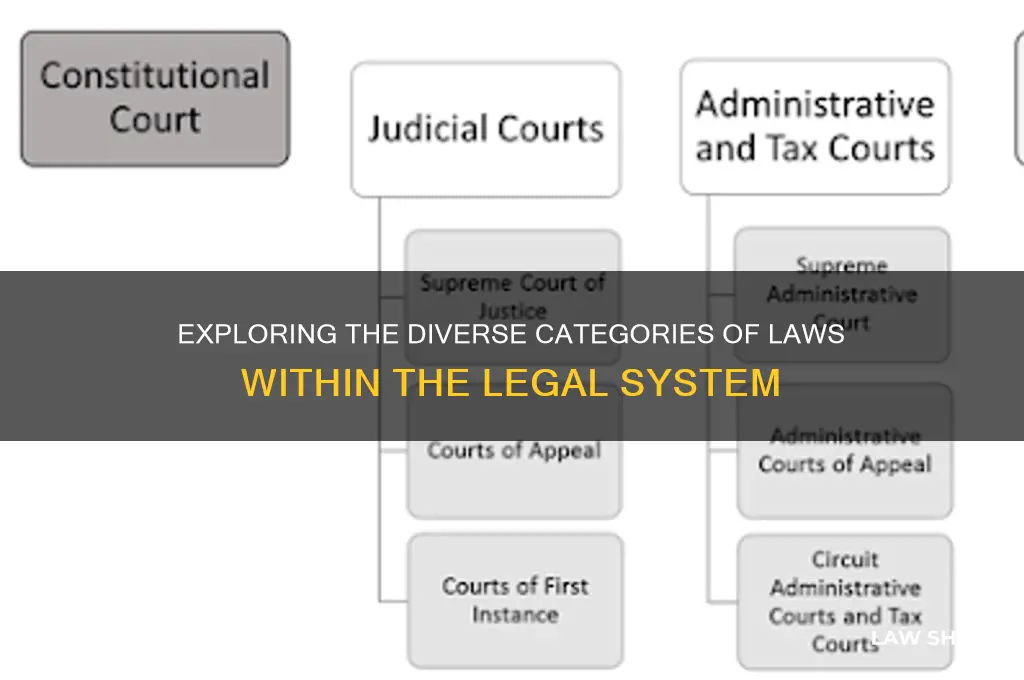 Exploring The Diverse Categories Of Laws Within The Legal System | LawShun