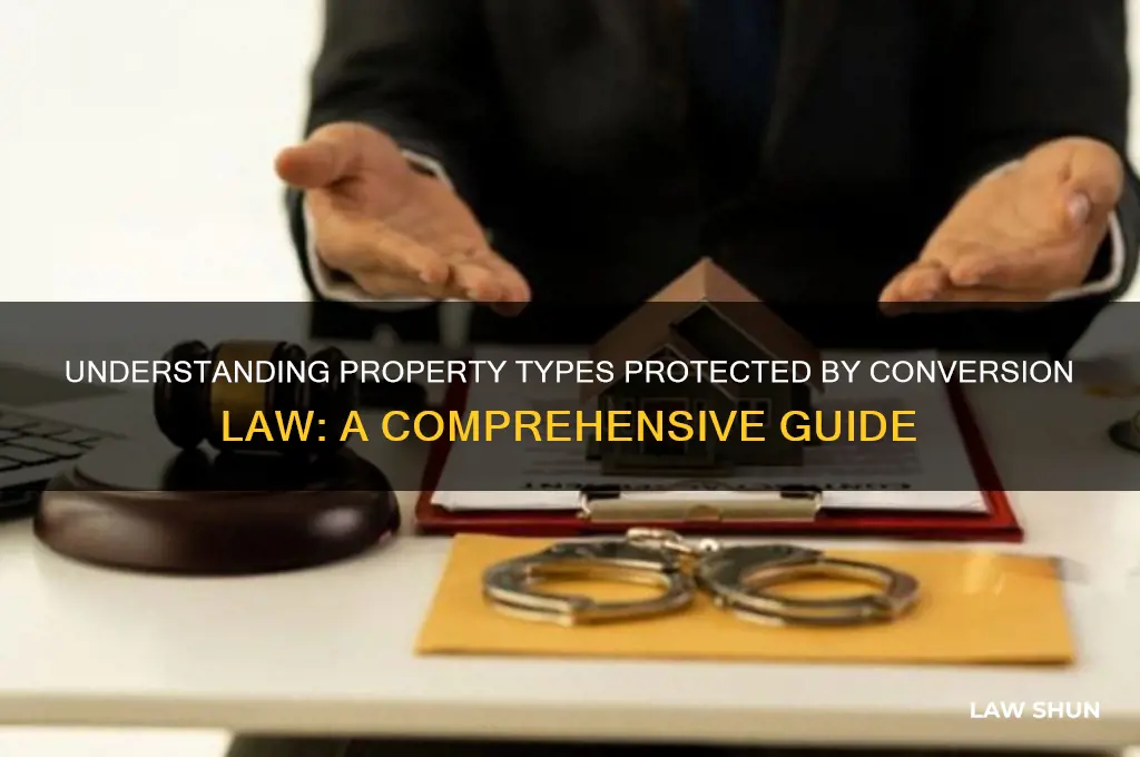 Understanding Property Types Protected By Conversion Law: A ...