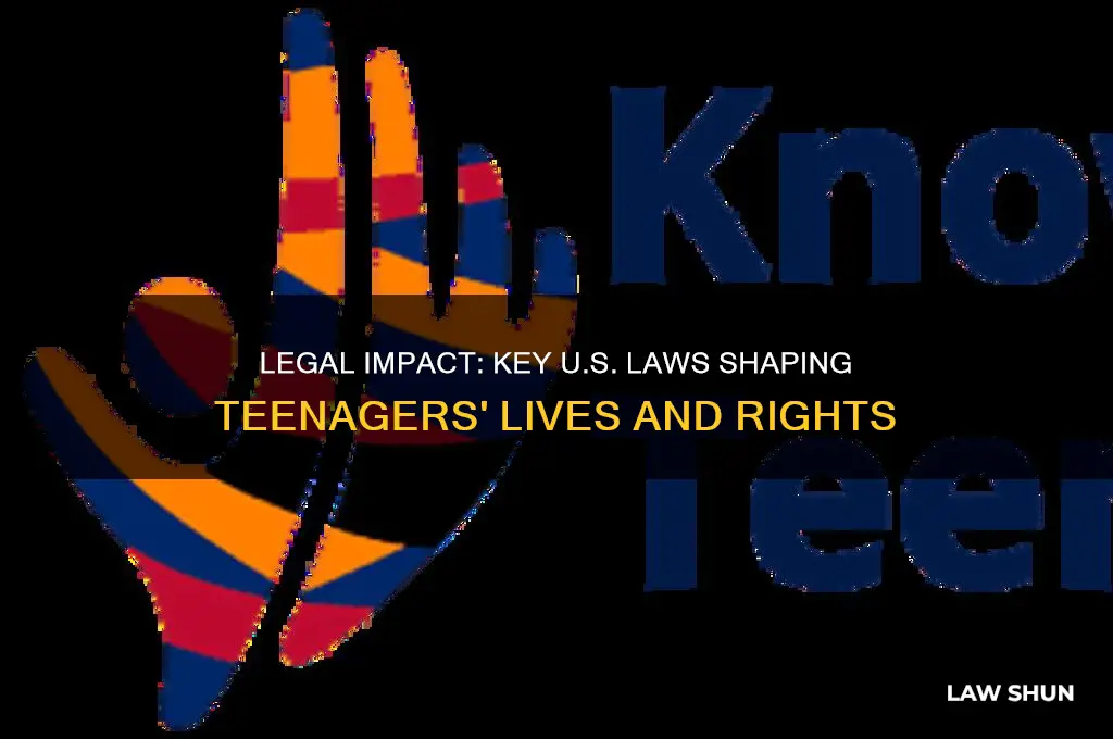 Legal Impact: Key U.S. Laws Shaping Teenagers' Lives And Rights | LawShun