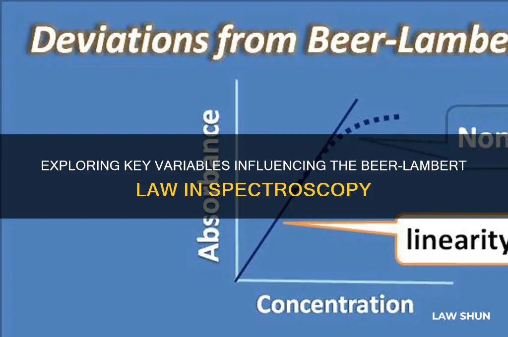 Exploring Key Variables Influencing The Beer-Lambert Law In ...