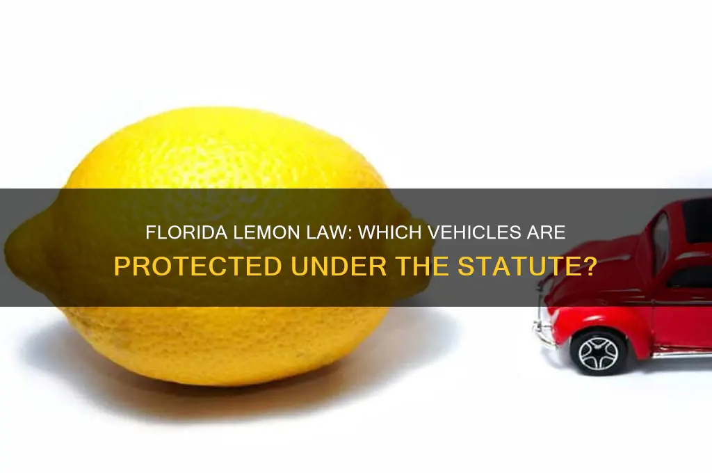 Florida Lemon Law: Which Vehicles Are Protected Under The Statute ...
