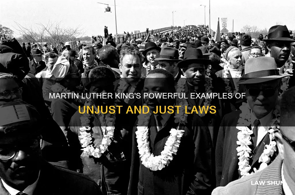 Martin Luther King's Powerful Examples Of Unjust And Just Laws | LawShun