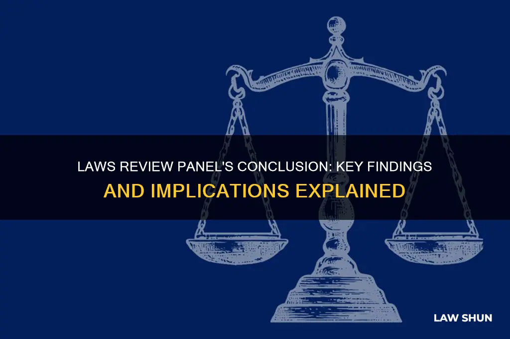 Laws Review Panel's Conclusion: Key Findings And Implications Explained ...