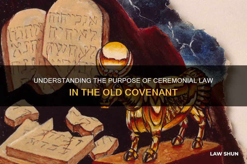 Understanding The Purpose Of Ceremonial Law In The Old Covenant | LawShun