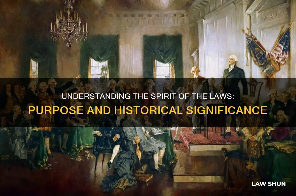 Understanding The Spirit Of The Laws: Purpose And Historical ...