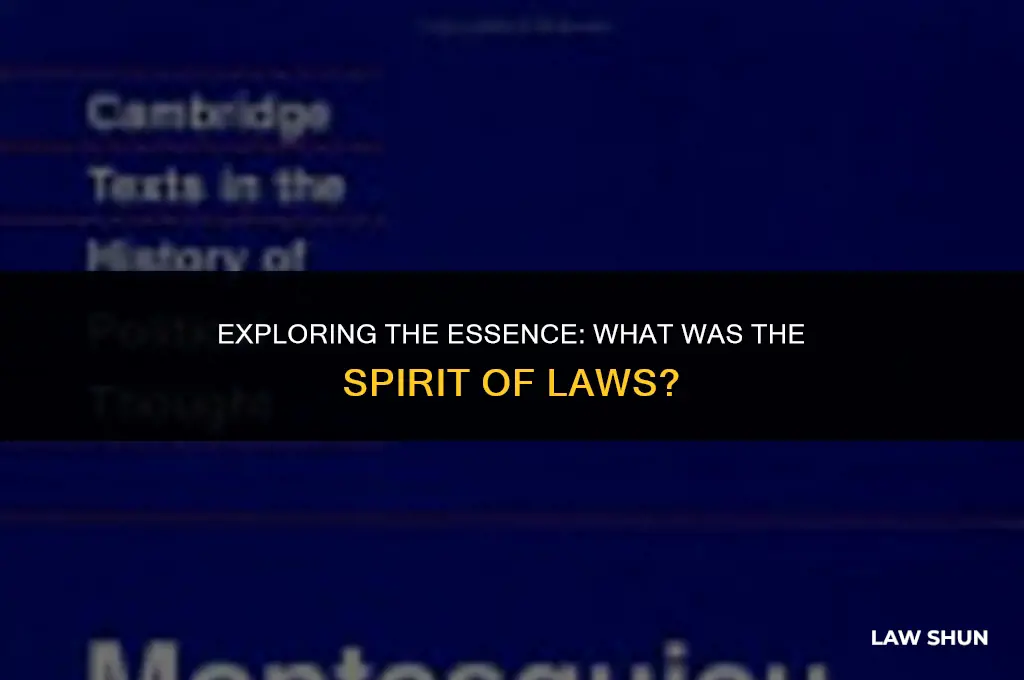 Exploring The Essence: What Was The Spirit Of Laws? | LawShun