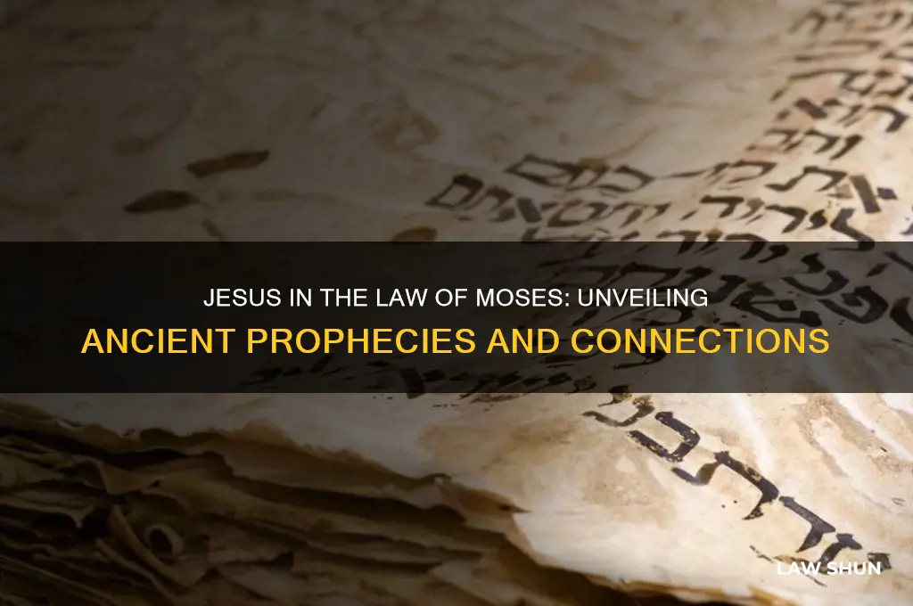 Jesus In The Law Of Moses: Unveiling Ancient Prophecies And Connections ...