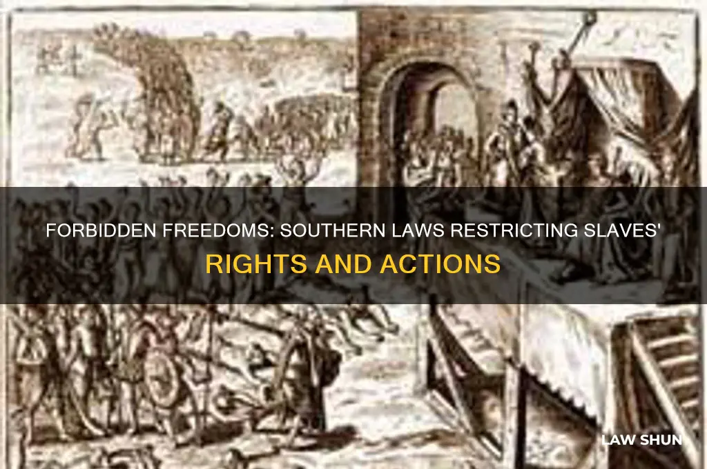 Forbidden Freedoms: Southern Laws Restricting Slaves' Rights And ...