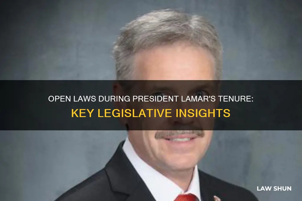 Open Laws During President Lamar's Tenure: Key Legislative Insights ...