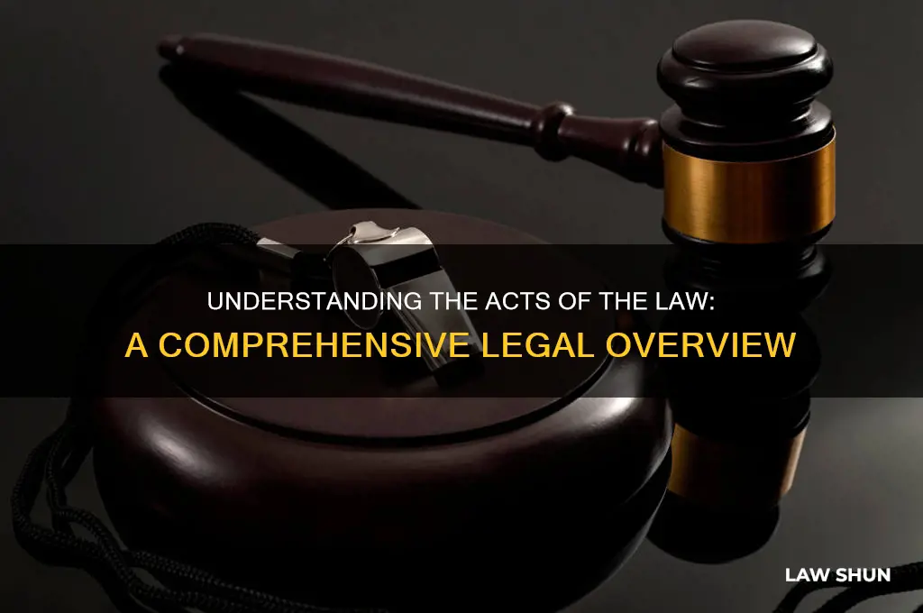 Understanding The Acts Of The Law: A Comprehensive Legal Overview | LawShun