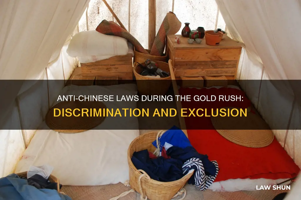 Anti-Chinese Laws During The Gold Rush: Discrimination And Exclusion ...