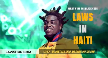 Understanding Black Code Laws: Post-Civil War Oppression Explained ...