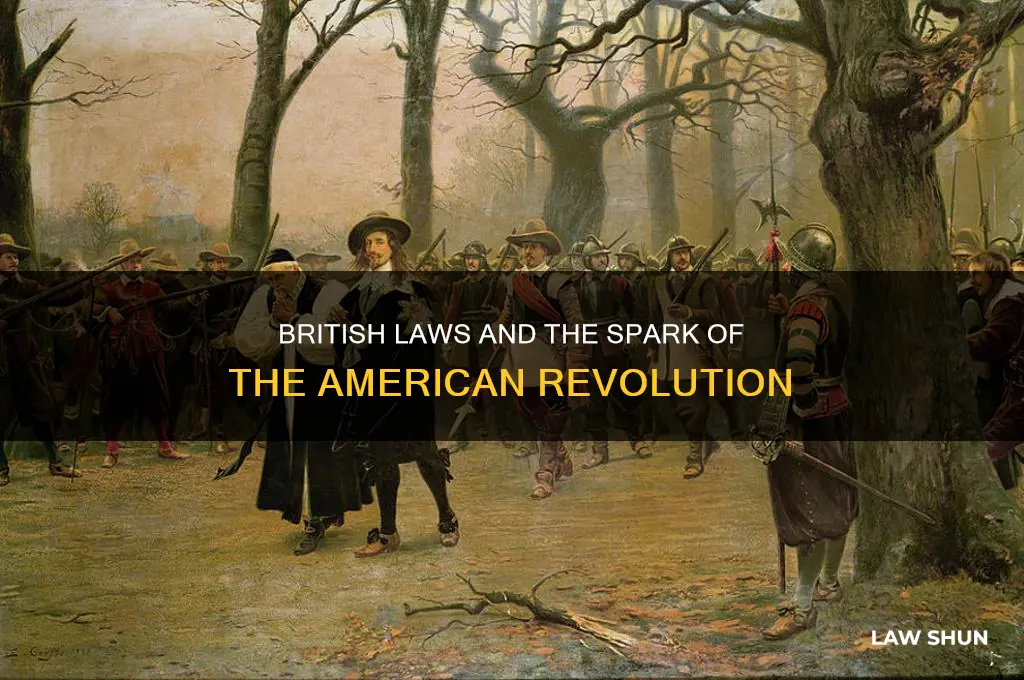 British Laws And The Spark Of The American Revolution | LawShun