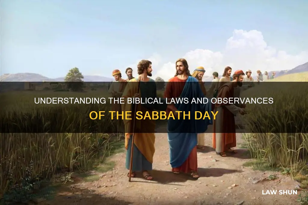 Understanding The Biblical Laws And Observances Of The Sabbath Day ...