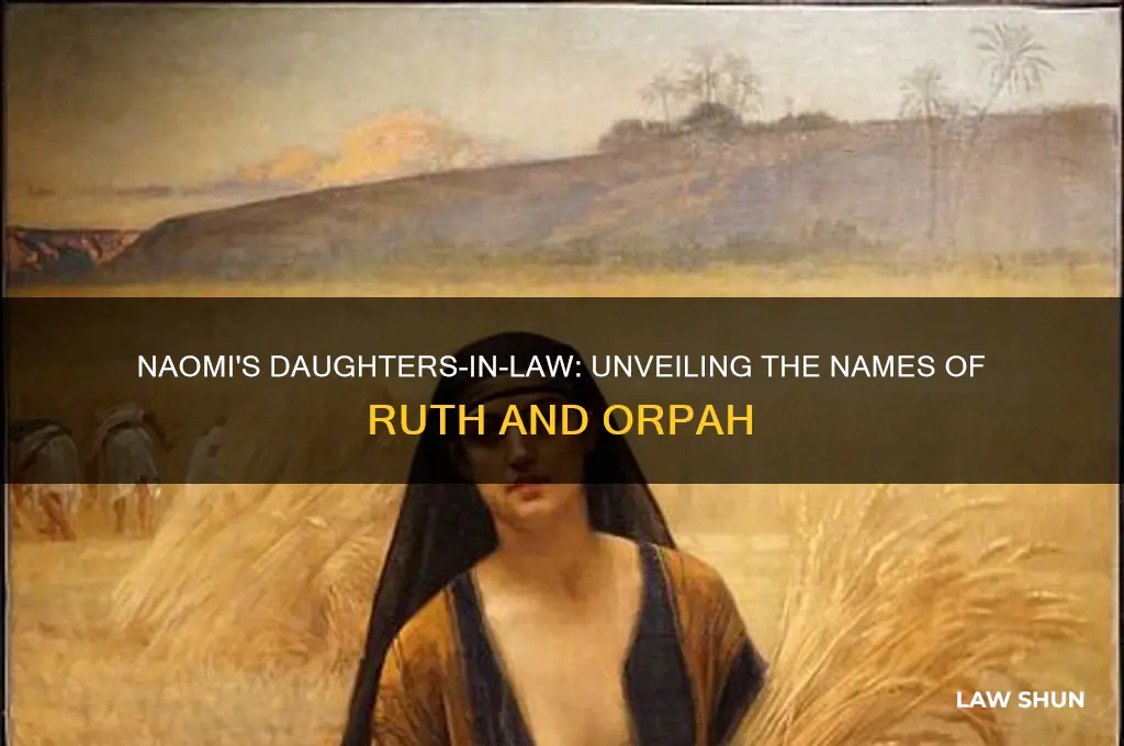 Naomi's Daughters-In-Law: Unveiling The Names Of Ruth And Orpah | LawShun