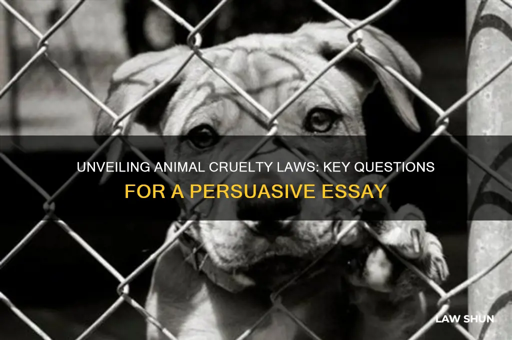Unveiling Animal Cruelty Laws: Key Questions For A Persuasive Essay ...