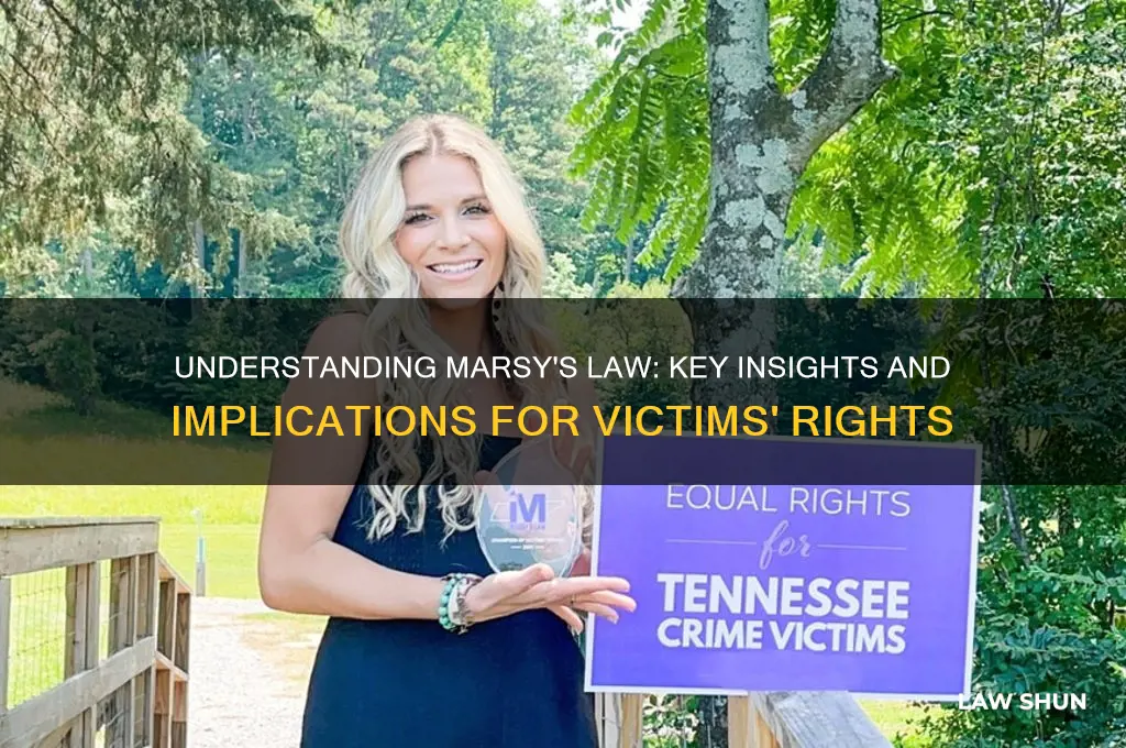 Understanding Marsy's Law: Key Insights And Implications For Victims ...