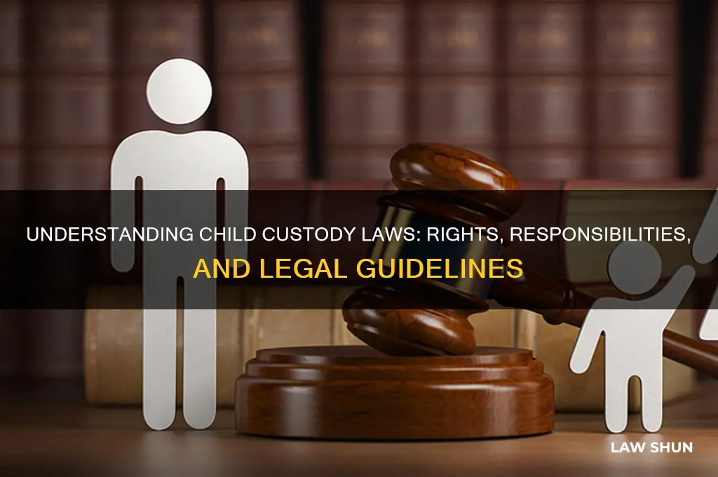 Understanding Child Custody Laws: Rights, Responsibilities, And Legal ...