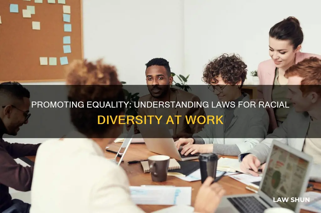 Promoting Equality: Understanding Laws For Racial Diversity At Work ...