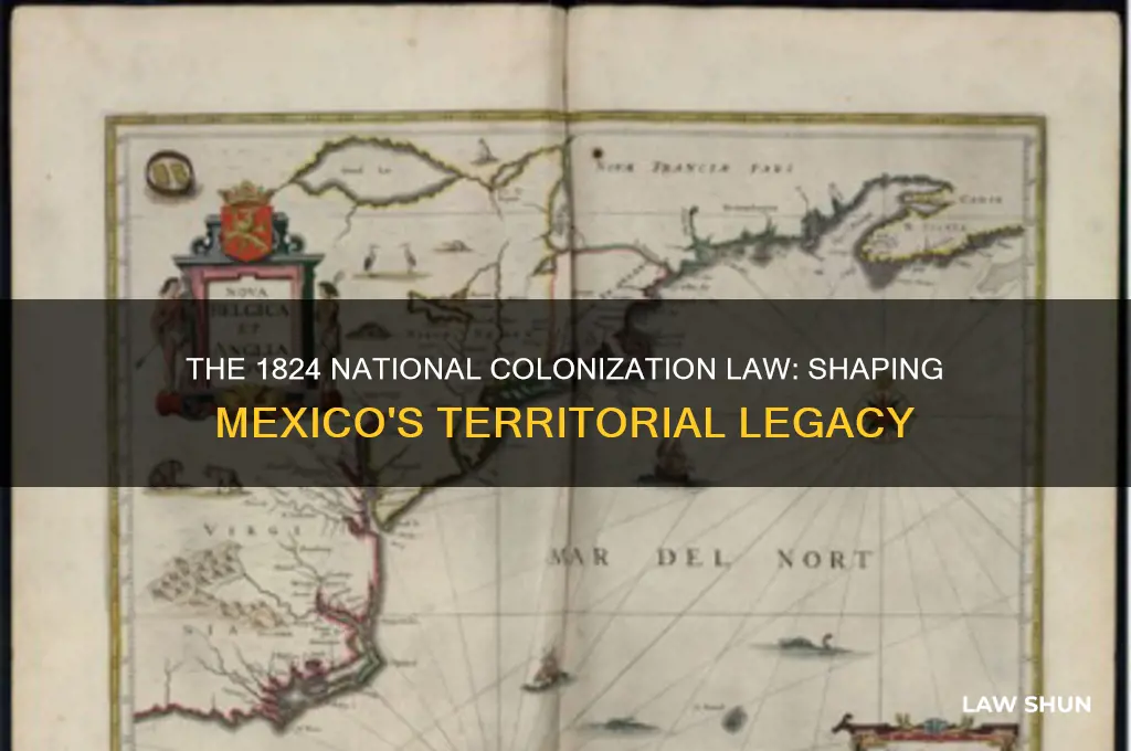 The 1824 National Colonization Law: Shaping Mexico's Territorial Legacy ...