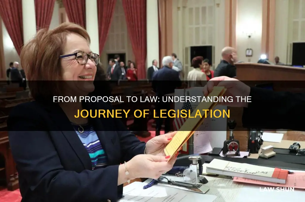 From Proposal To Law: Understanding The Journey Of Legislation | LawShun