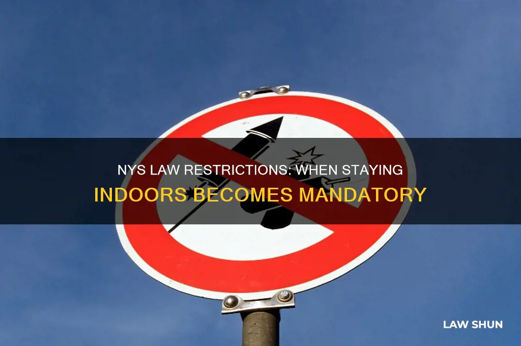 Nys Law Restrictions: When Staying Indoors Becomes Mandatory | LawShun