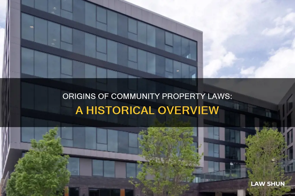 Origins Of Community Property Laws: A Historical Overview | LawShun
