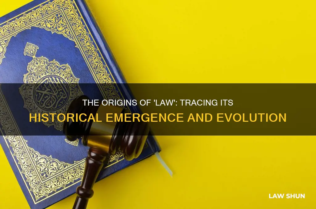 The Origins Of 'Law': Tracing Its Historical Emergence And Evolution ...