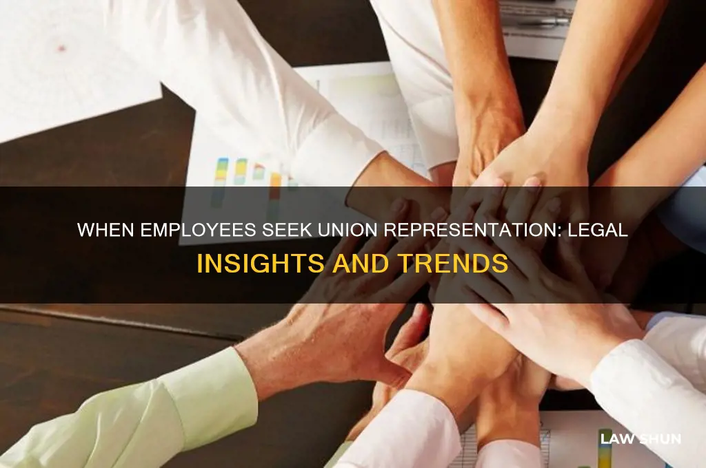 When Employees Seek Union Representation: Legal Insights And Trends ...