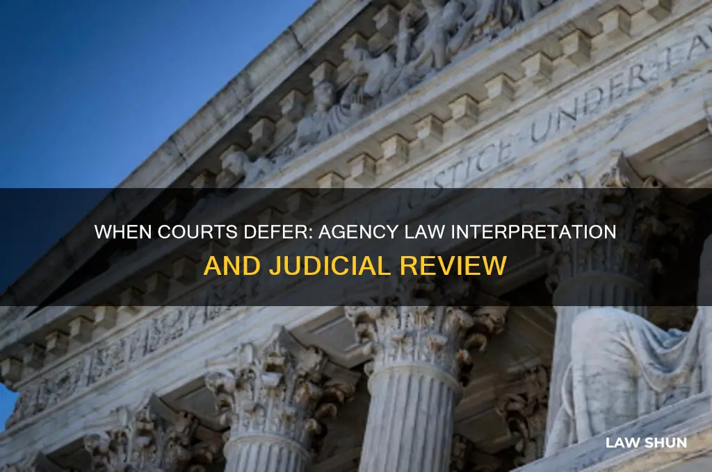 When Courts Defer: Agency Law Interpretation And Judicial Review | LawShun