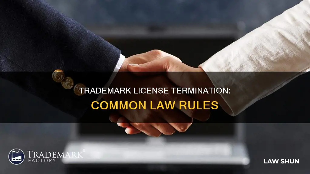 Trademark License Termination: Common Law Rules | LawShun