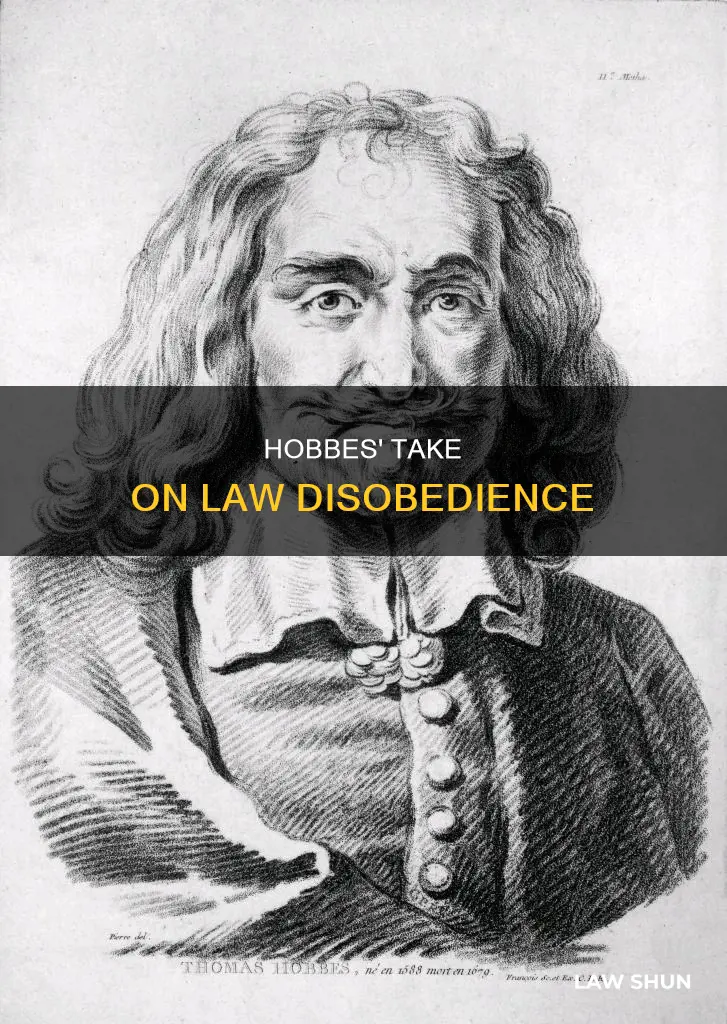 Hobbes' Take On Law Disobedience | LawShun