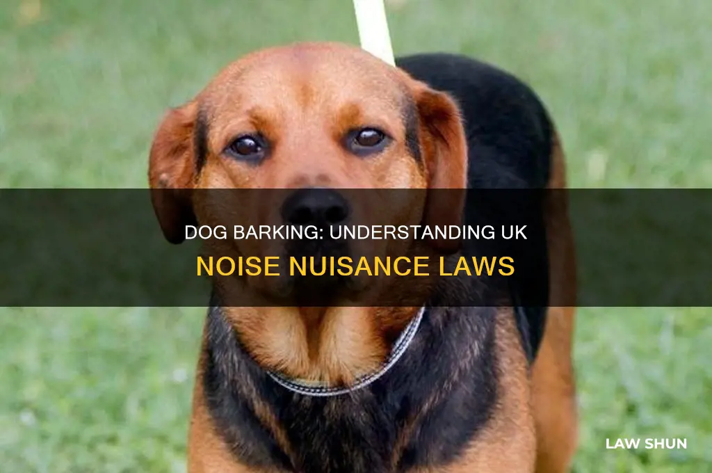 Dog Barking: Understanding Uk Noise Nuisance Laws | LawShun