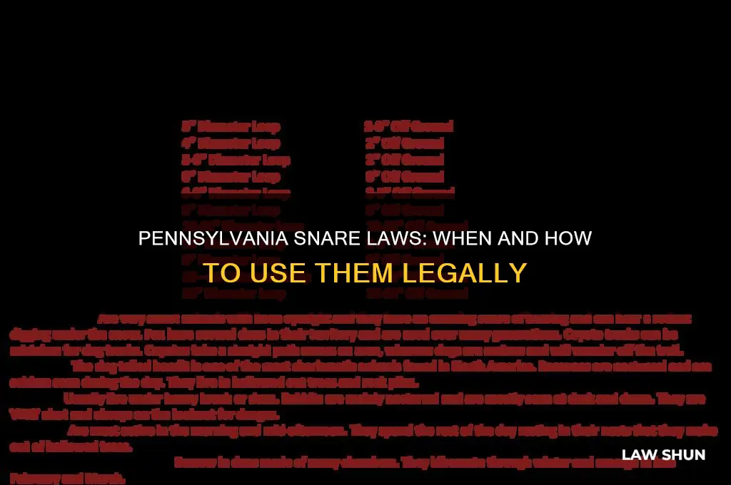 Pennsylvania Snare Laws: When And How To Use Them Legally | LawShun