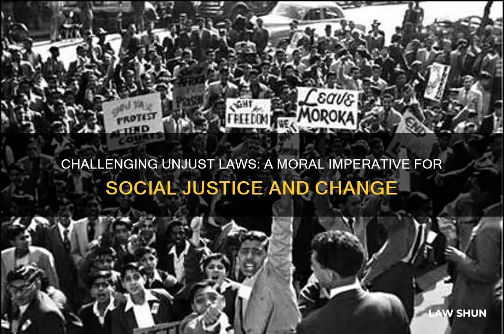 Challenging Unjust Laws: A Moral Imperative For Social Justice And ...