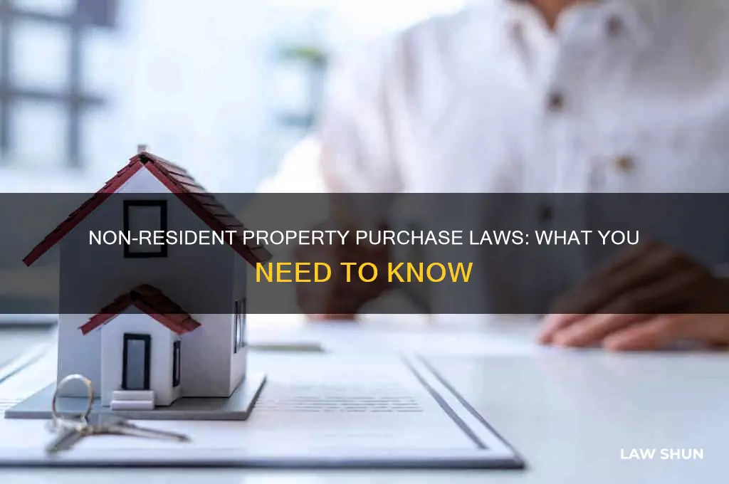 Non-Resident Property Purchase Laws: What You Need To Know | LawShun